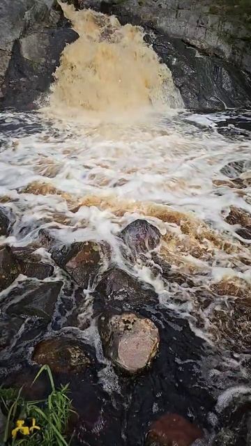 Карелия. Питкяранта. Водопад Нижний Койриноя. Karelia. Pitkyaranta. Lower Koirinoya Waterfall (5)