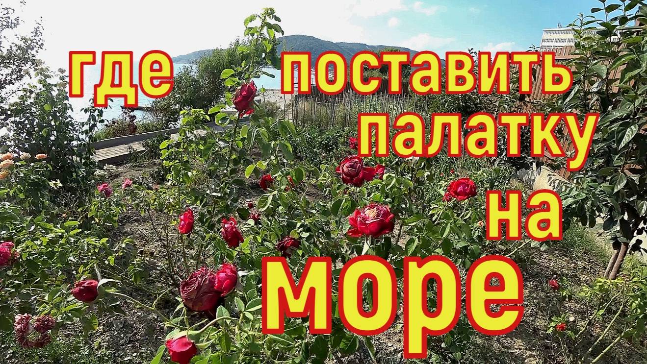 Где поставить палатку на берегу моря