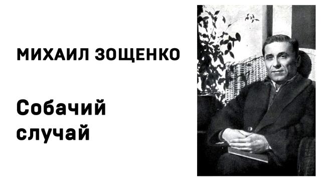 Михаил Зощенко Собачий случай