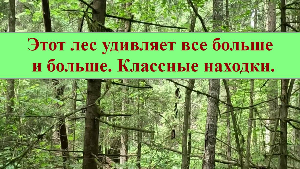 Восхитительные, старинные артефакты.