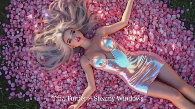 Tina Turner ~ Steamy Windows