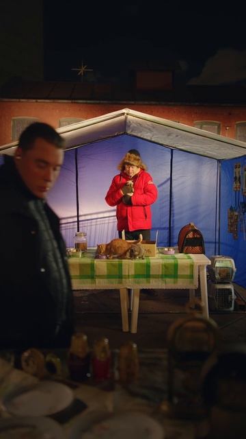 Актёр Игорь Серебряный- роль продавец котят. Образ: Вицын