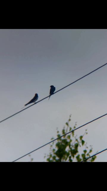 Давай поговорим? 😄