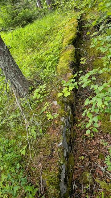 Кирконкюля. Руины Восточно-карельского народного училища. Ruins of the East Karelian public school