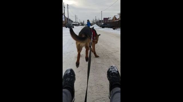 ЕЗДА НА ОВЧАРКЕ🎬