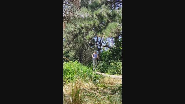 самокат вертикальный