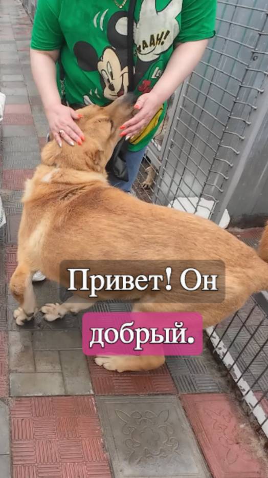 Анонс нового видео