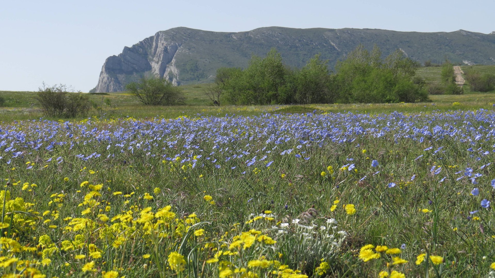Нарядный Чатыр-Дага. 26 мая.