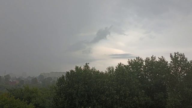 Городской цветник 15-18.07.25. Лилии, эхинацеи, мальвы, снова цветёт розовая робиния