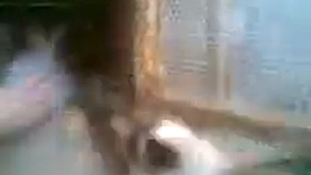 Коготь_Семёна.3gp