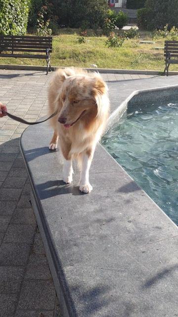 2025 07 19 Севастополь