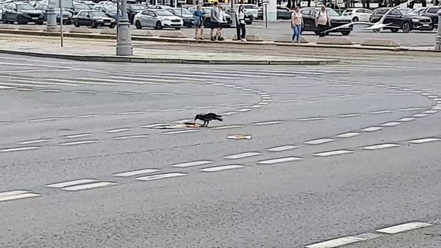 Варёна и питса на дороге