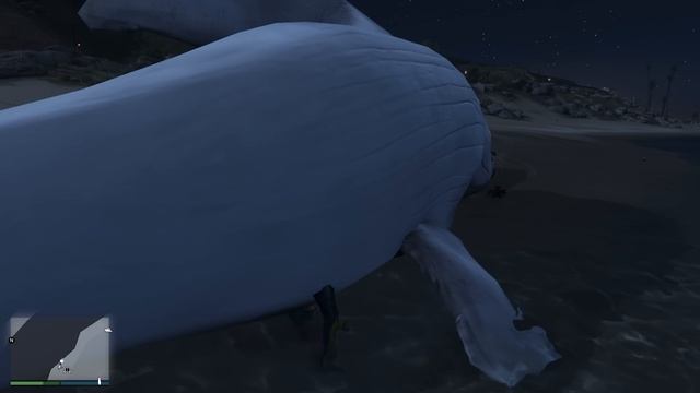 Рома с Настей "играются" над новым китом в GTA Online