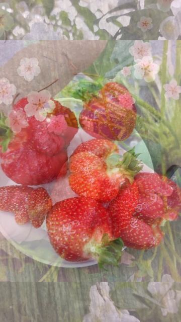 А вы знаете какой это сорт клубники?