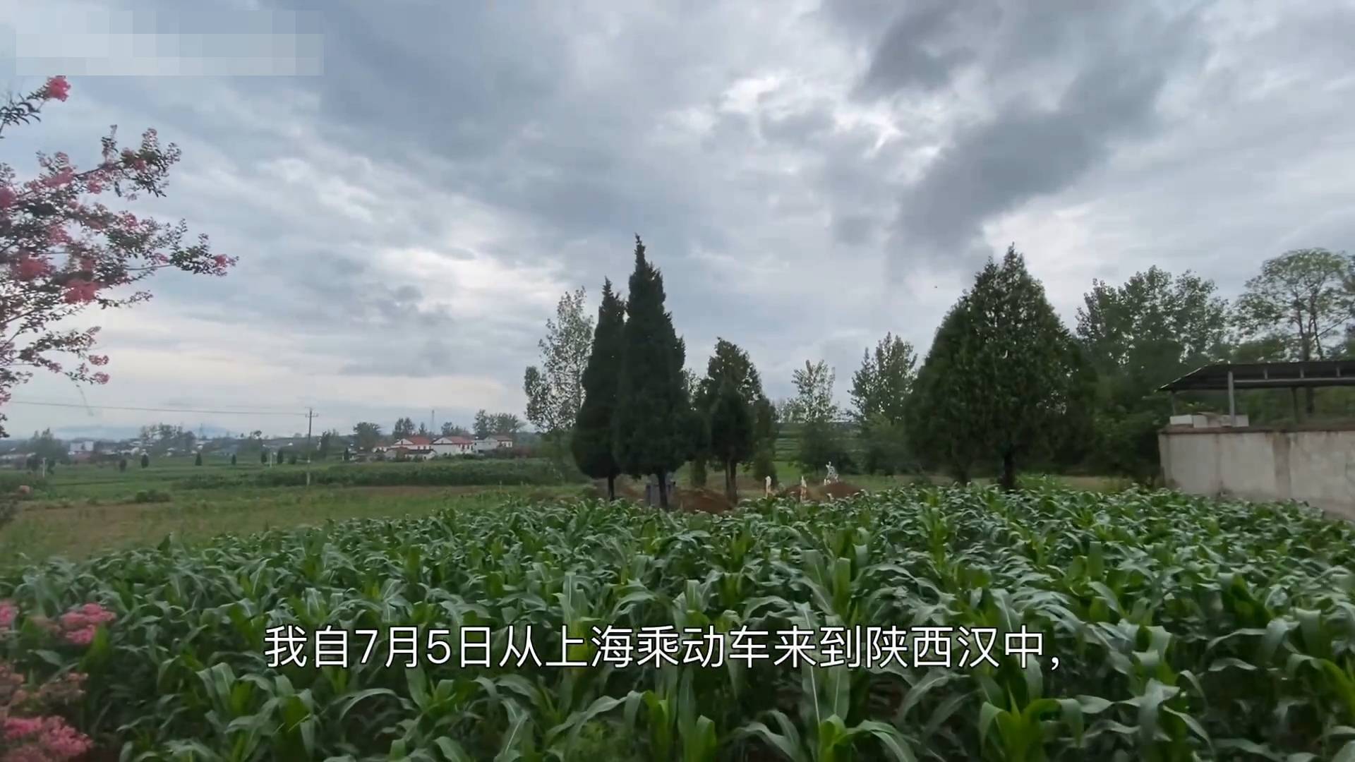 Идеалист 21 века - Отчет об исследовании крестьян в одной из деревень города Ханьчжун