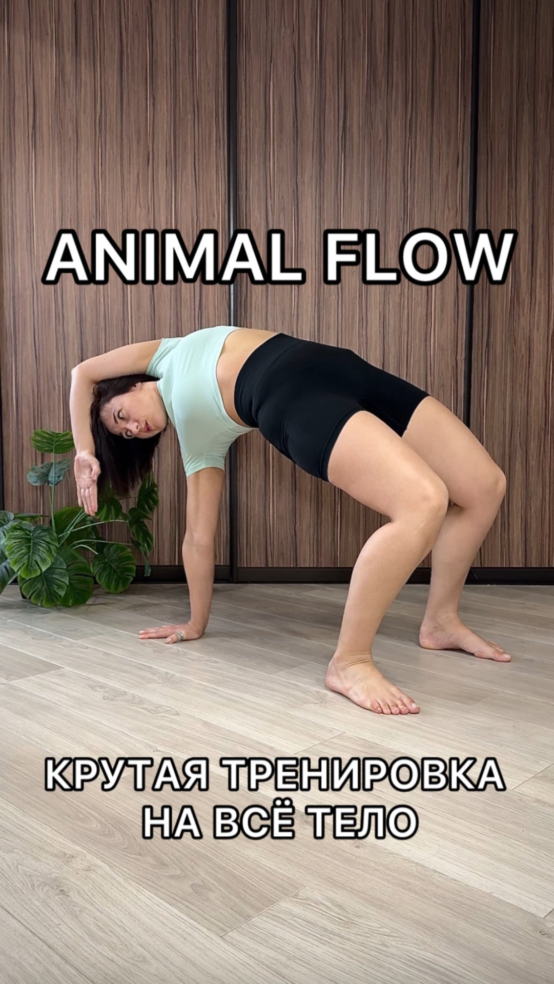 Фундаментальные основы Animal Flow