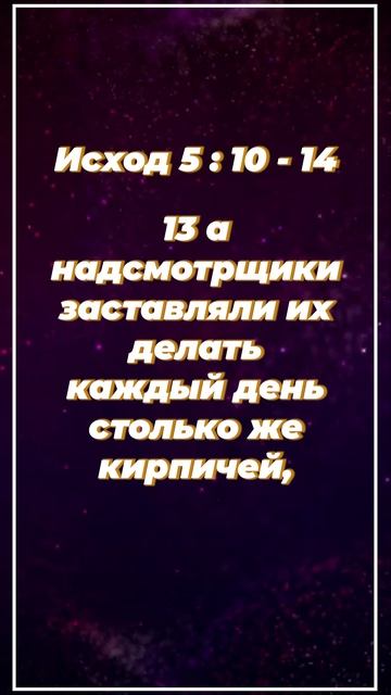 Исход 5: 10 - 14 | ИПБ им. Кулакова  #sda_voskhozhdenie_shorts #книги #библия