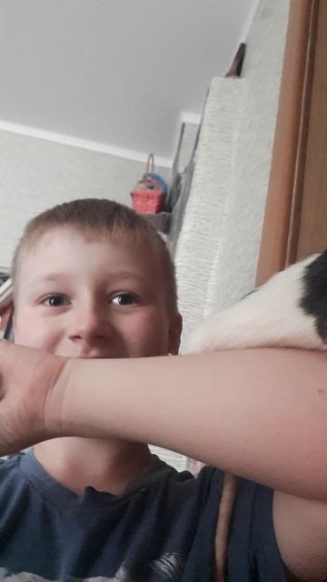 мой новый питомец