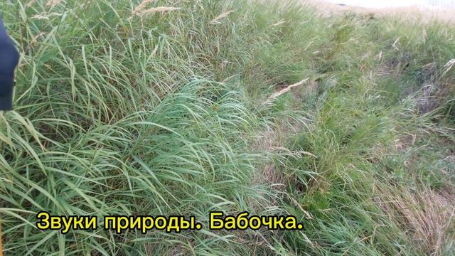 Природа Хабаровского края