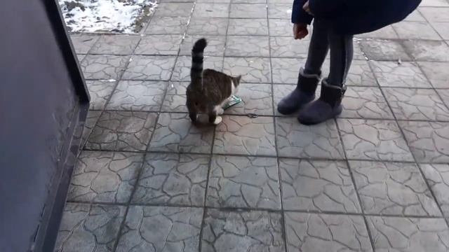 Воспоминания 2020г. 6 декабря