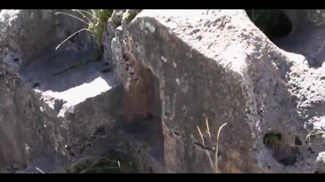 Мегалиты Саксайуамана. Кому под силу построить такие сооружения до нашей эры