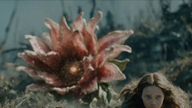 Лепесток. #сезонконтентаRUTUBE #миналепесток  #мина  #детивойны