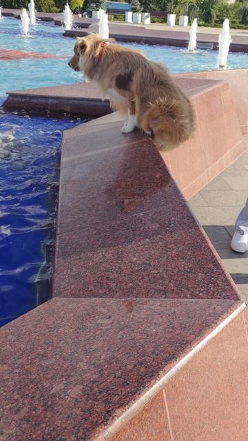 2025 07 19 Севастополь