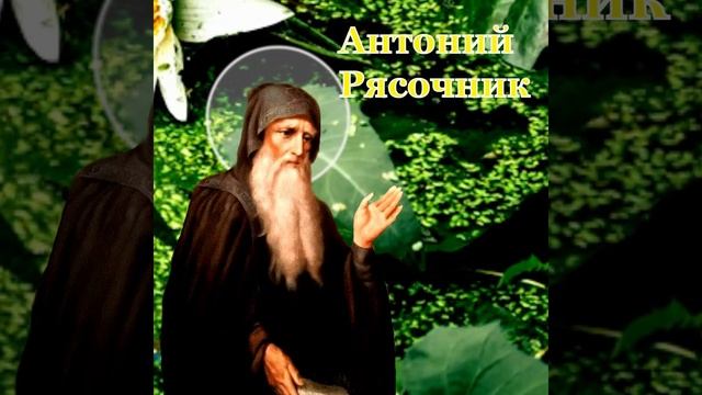 В июле С 21 ПО 25 ...