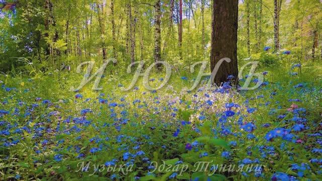 ИЮНЬ КРАСАВЕЦ ЮНЫЙ