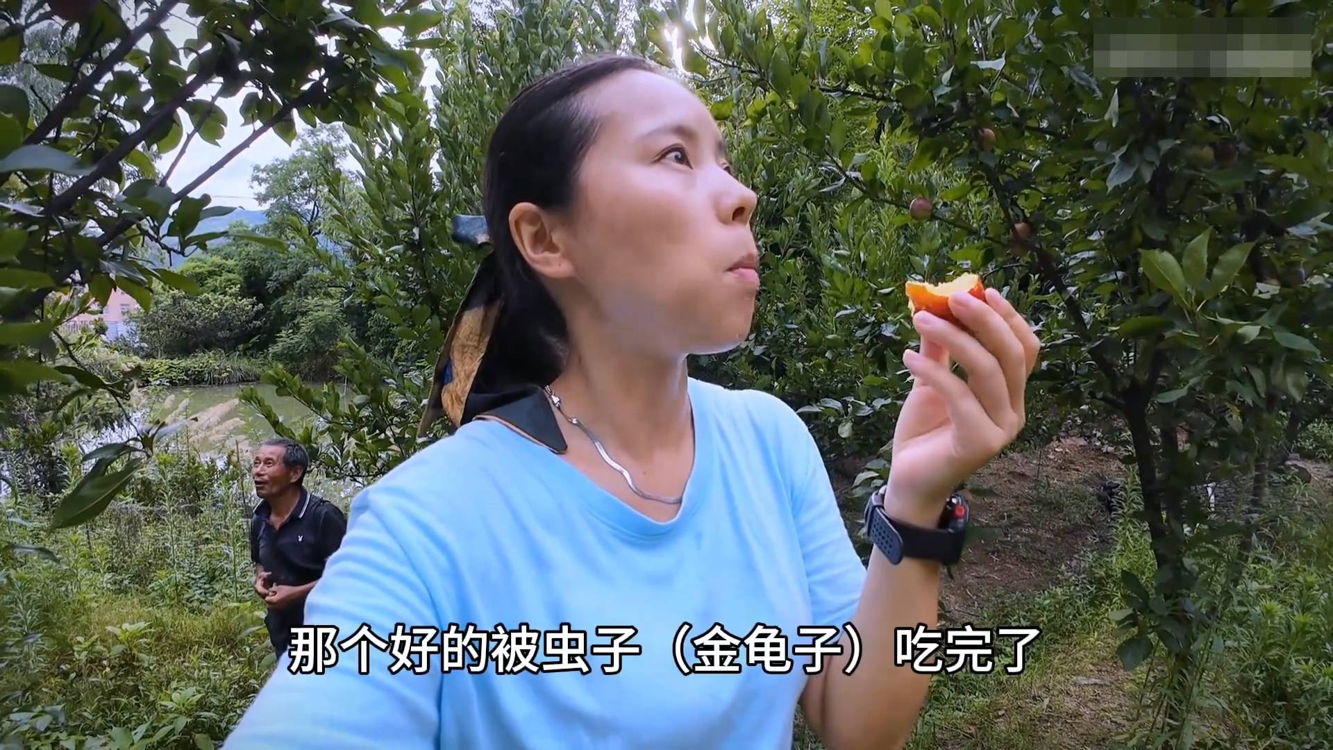 Сянъе Ёко - 5 лет назад я купила саженцы сливы через интернет