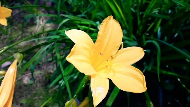 24 км от Москвы. Горки-10.Новостройки