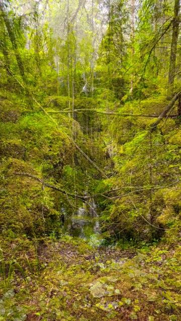 Карелия. Питкяранта. Karelia. Pitkyaranta