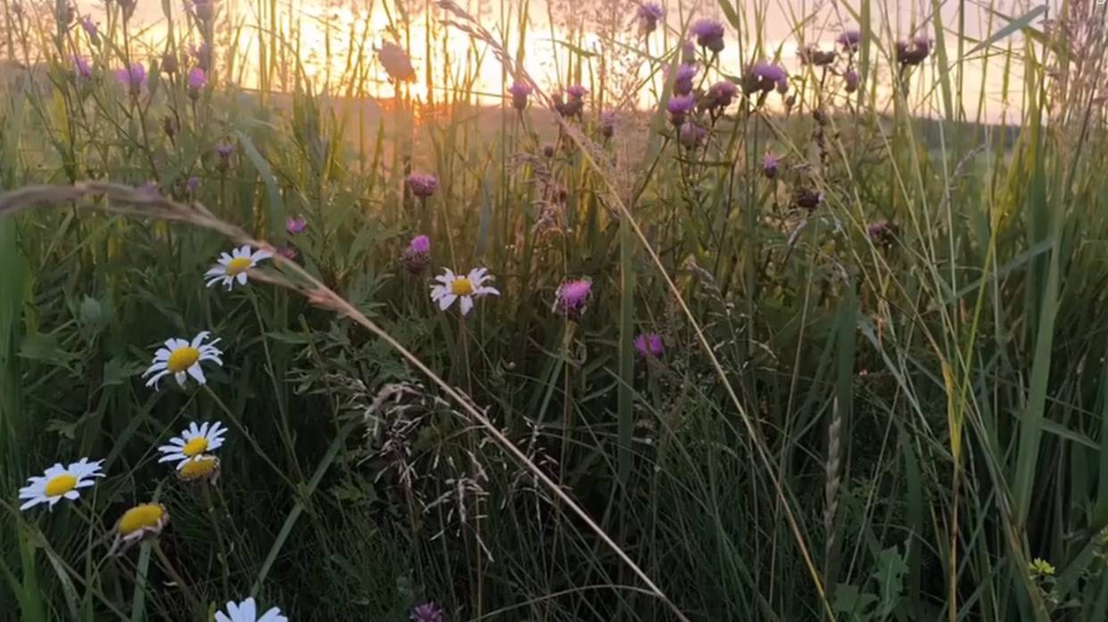 Молодость и старость встретились однажды.... #Стихи_для_души