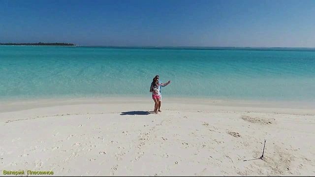 Алексей Романюта - На исходе лета