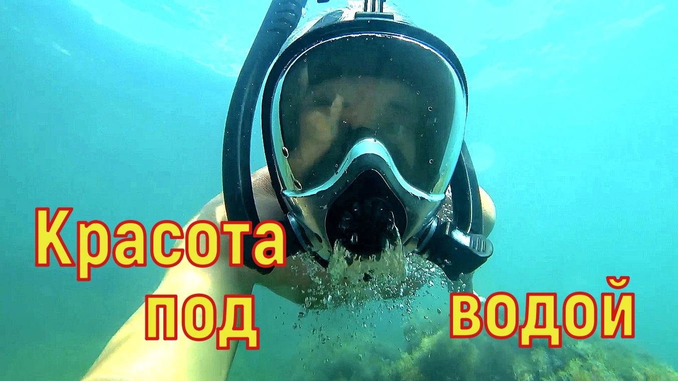 Изумительная подводная красота часть 1
