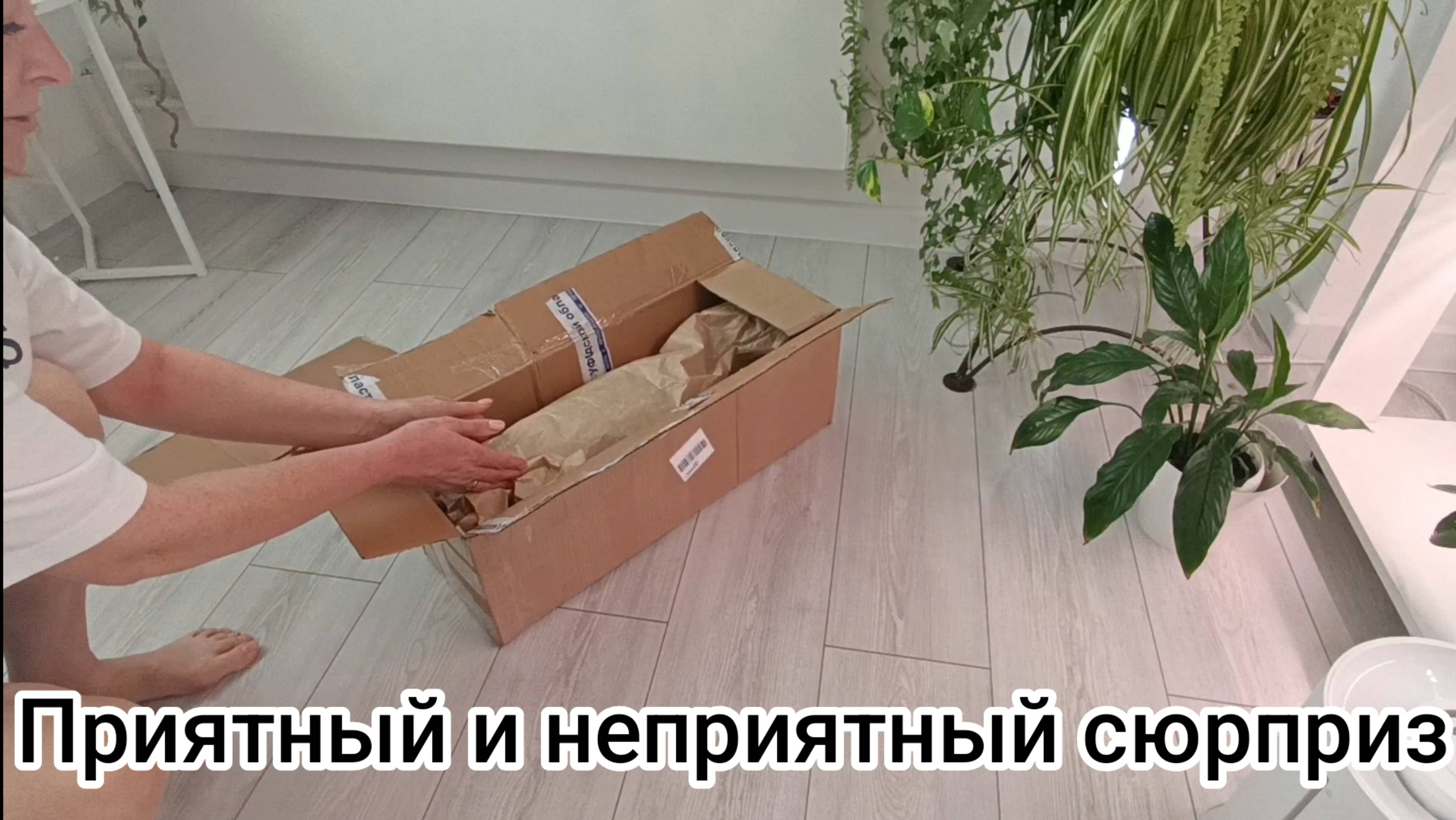 НОВАЯ орхидея РАСПАКОВКА и обзор #орхидеи