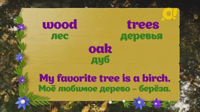Учим английский с детьми в песнях: сегодня тема "Лес"