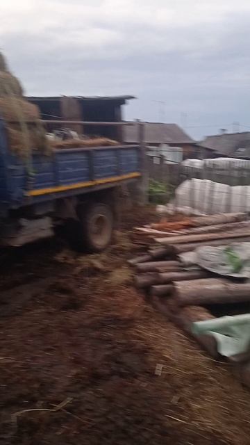 Сено прибывает . Застрял на ровном месте на газ 3307 .