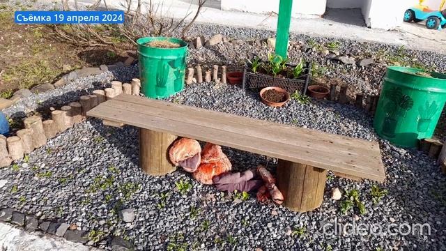 Субботник Первомайская 2 А 2024