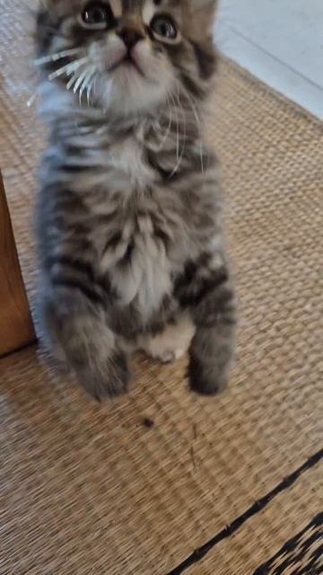 FILE 2025-07-19 17:49:34