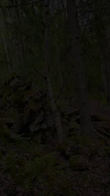 Питкяранта.Линия U-Финские оборонительные сооружения.Pitkyaranta.Line U-Finnish defensive structures