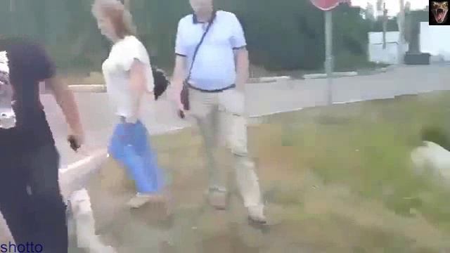 Ослопасы на дороге