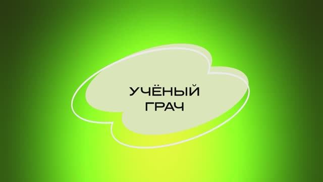 Учёный грач