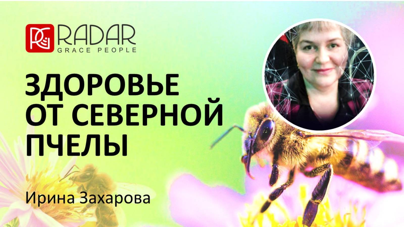 Мед, который лечит! Викторина и секреты улья