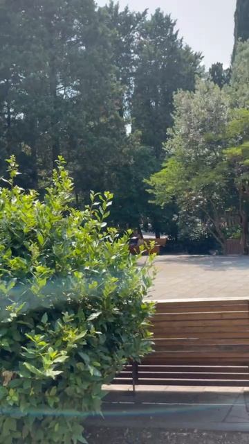 Пионерский парк 🥁 Ялта