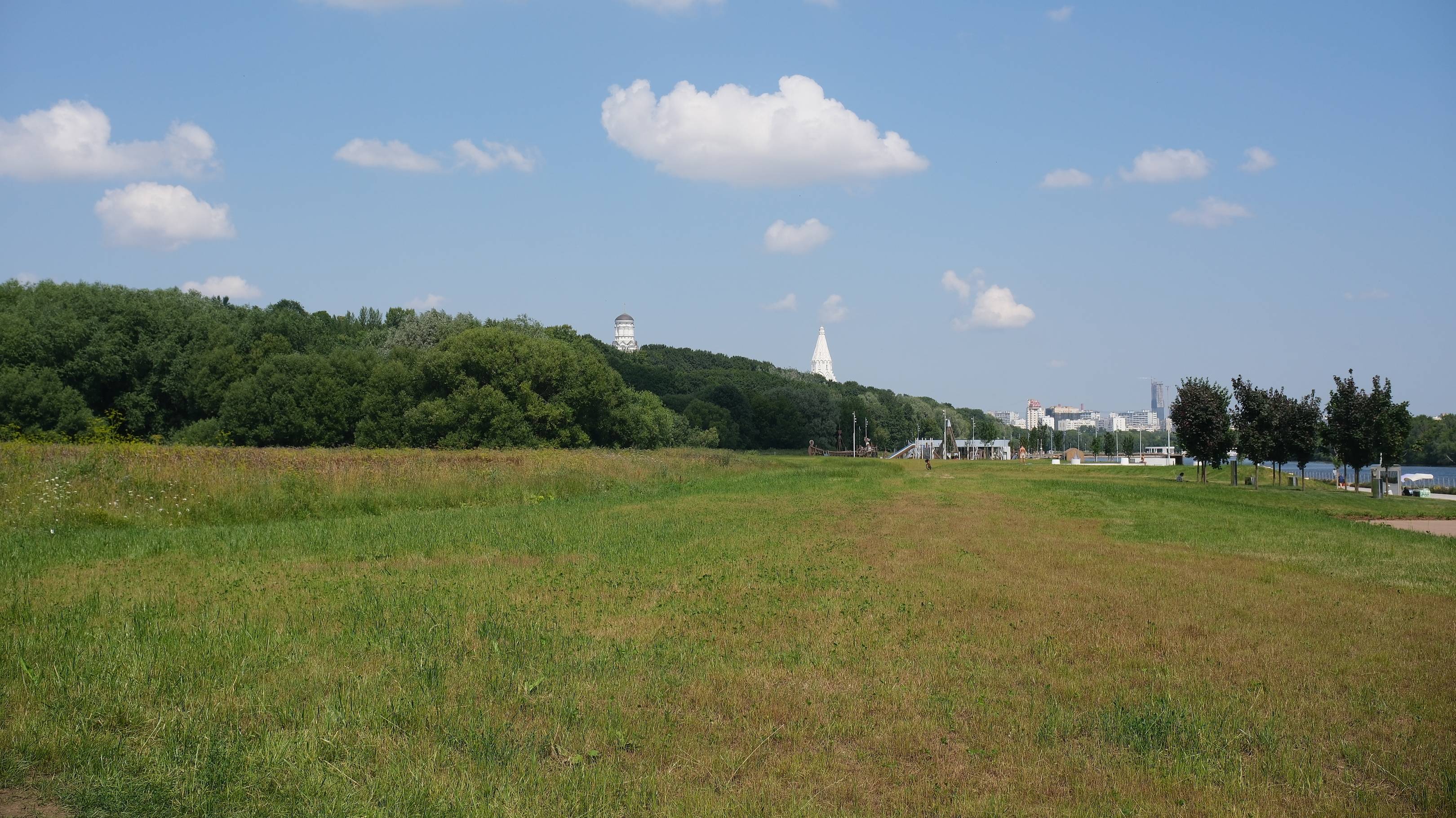 В Коломенском 18.07.2025