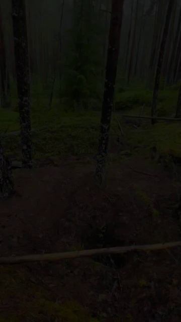 Карелия. Питкяранта. Ниетъярви. Karelia. Pitkäranta. Nietjärvi