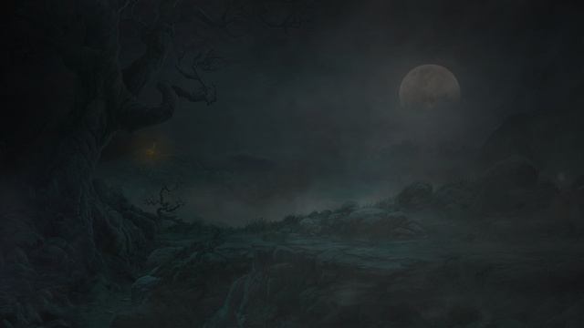 14 - What will the coming day bring us