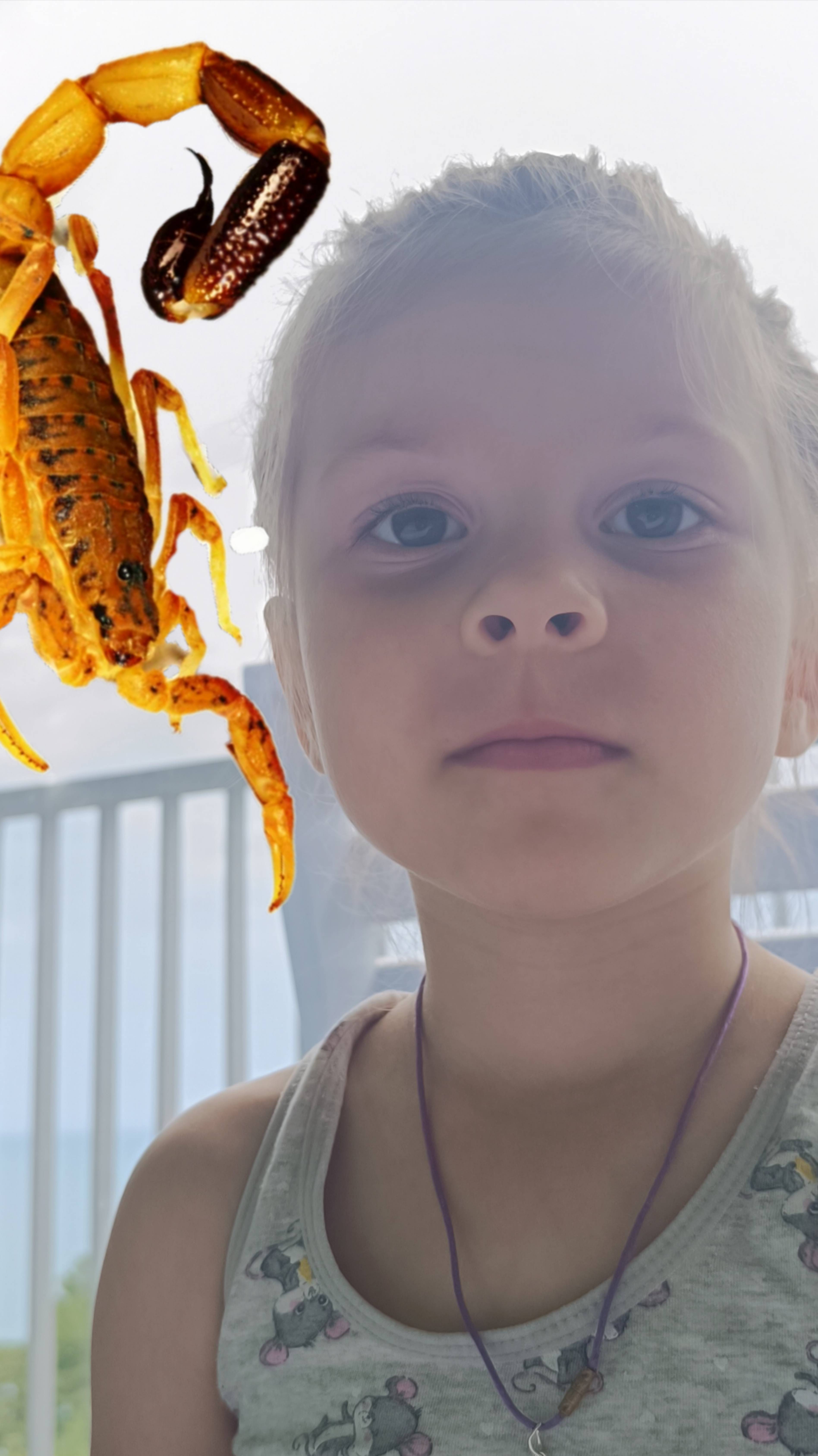 ЧТО ДЕЛАТЬ ЕСЛИ УКУСИЛ СКОРПИОН 🦂