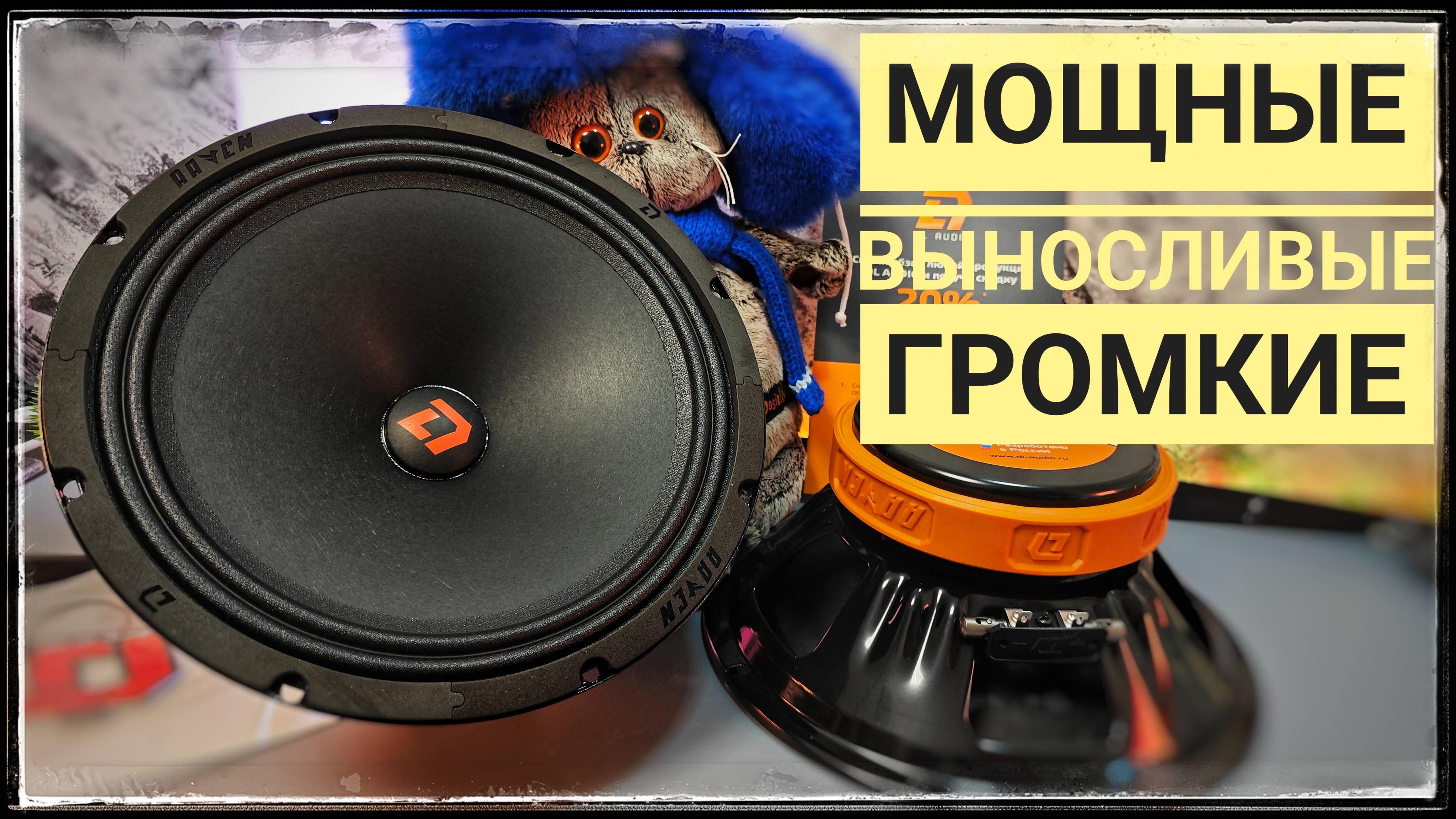 Топовые динамики! Громкие и выносливые панч машины DL Audio Raven 250